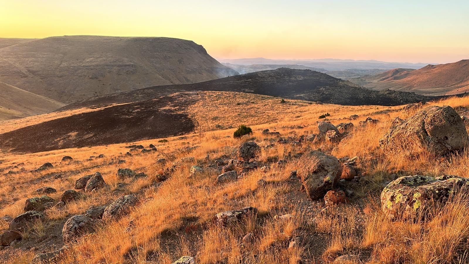 Kürecik Çevirme ve Harunuşağı Köylerimizde Yangın - Kürecik Haber Sitesi